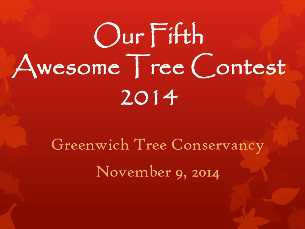 Awesome Tree Contest - Greenwich Tree Conservancy