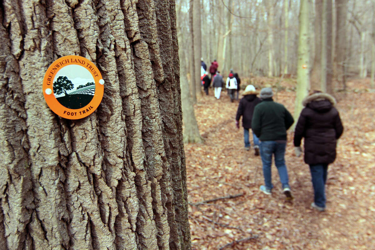 CT Insider: Greenwich Land Trust ‘Winter Walk’ teaches visitors how ...