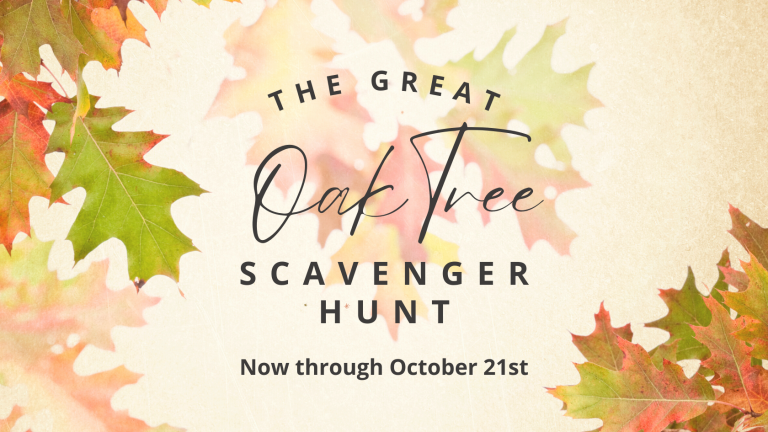 The Great Oak Tree Scavenger Hunt - Greenwich Tree Conservancy