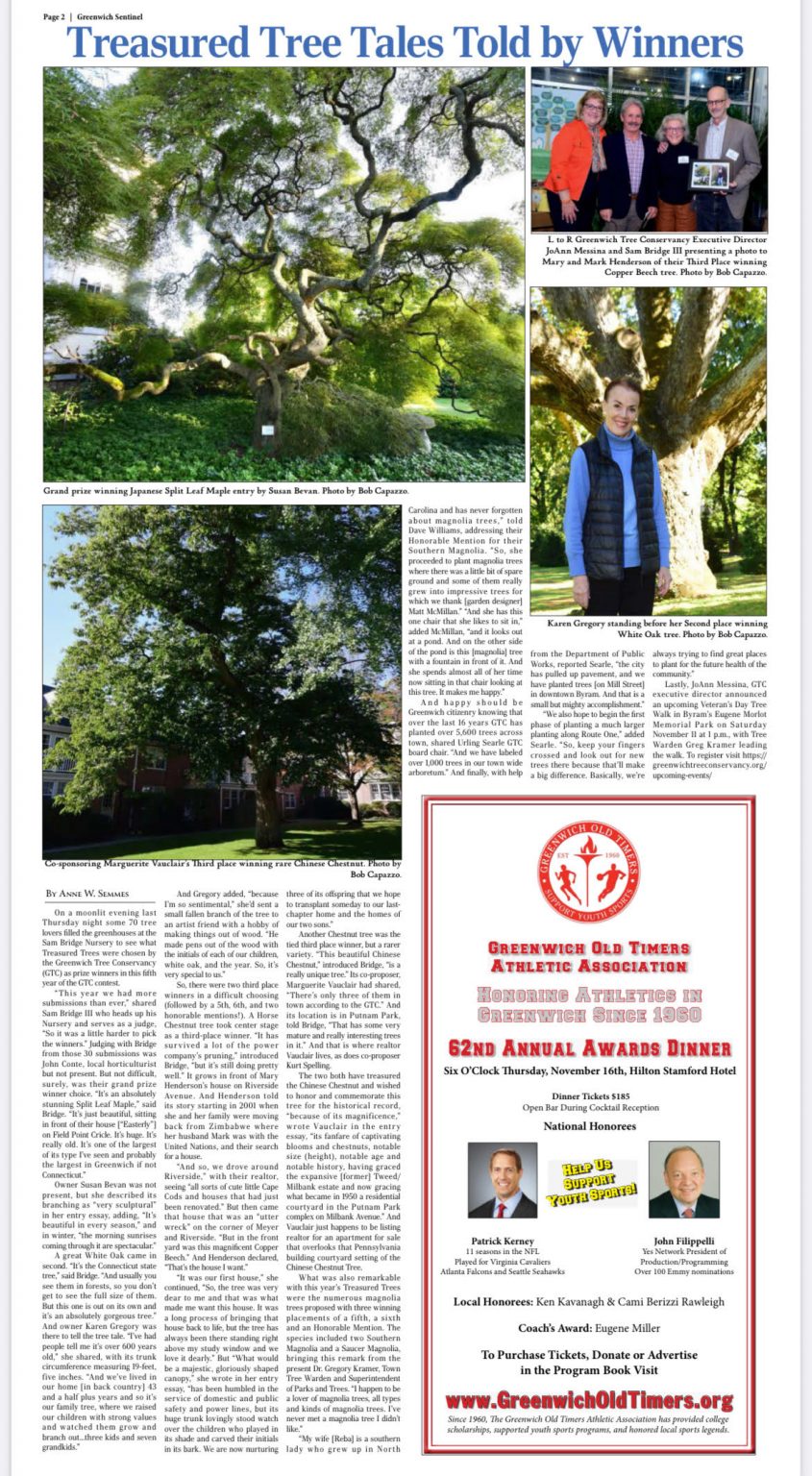 Greenwich Sentinel: Treasured Tree Tales Told by Winners - Greenwich ...
