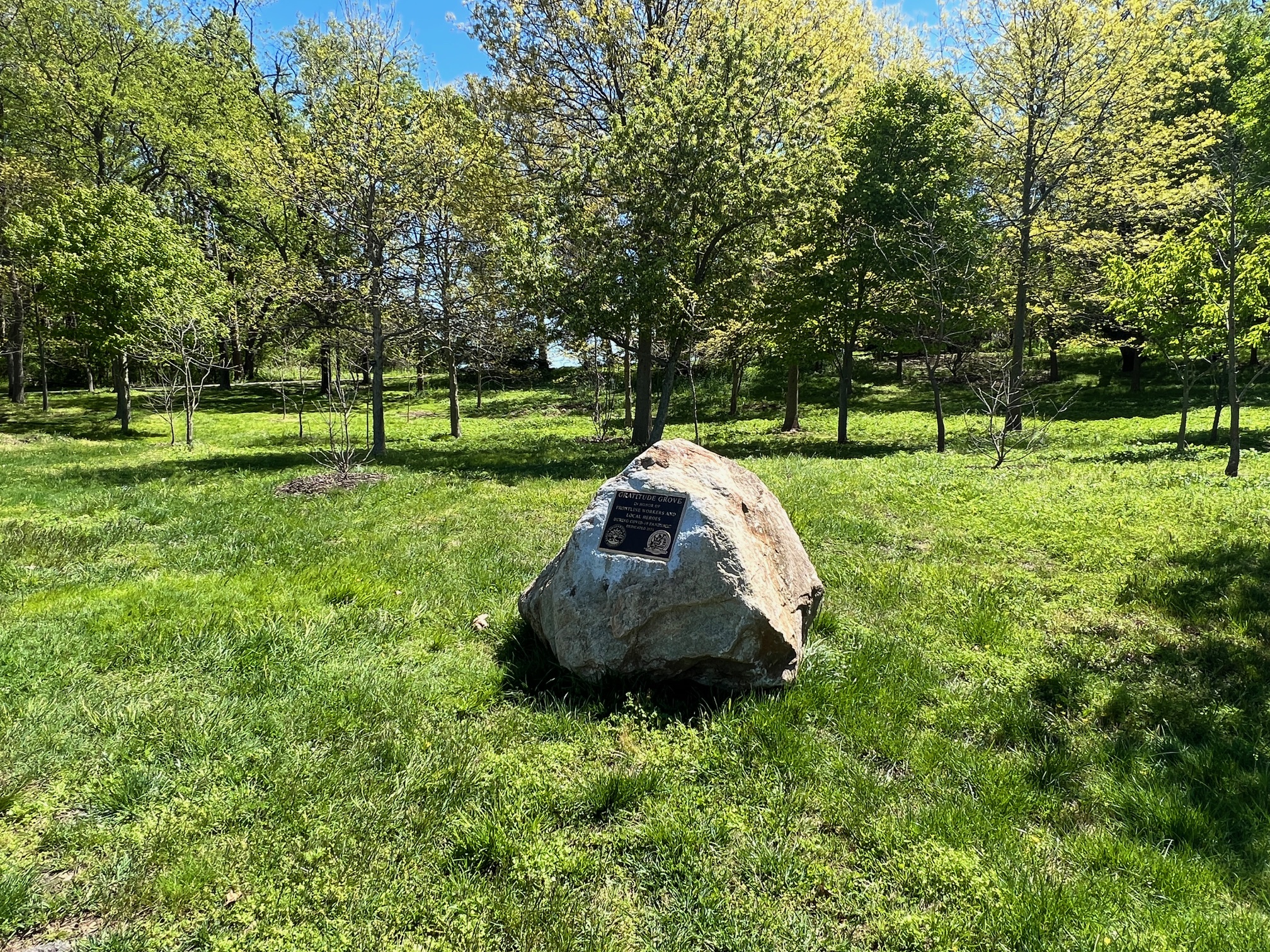 Gratitude Groves - Greenwich Tree Conservancy