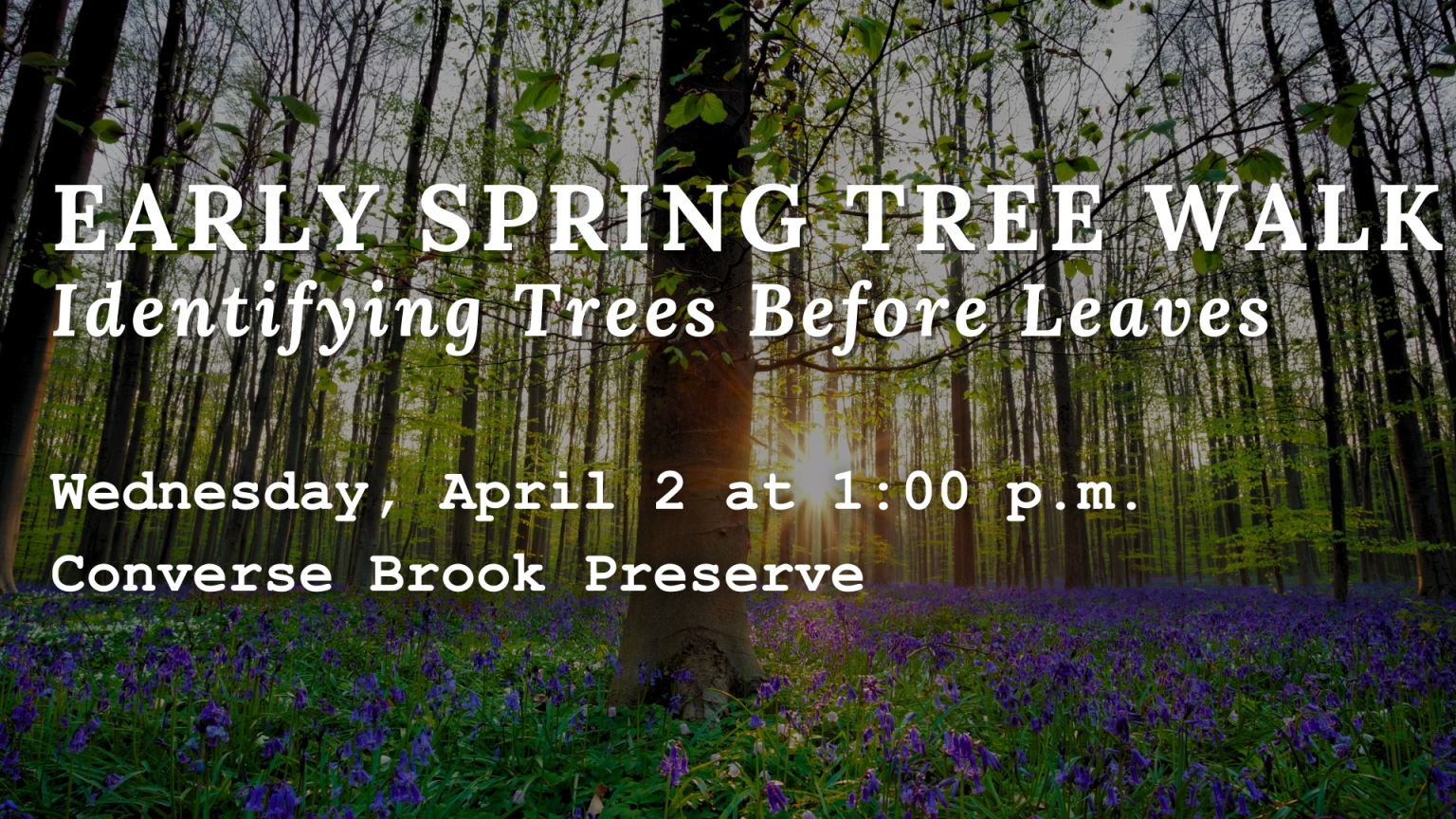 Early Spring Tree Walk - Greenwich Tree Conservancy