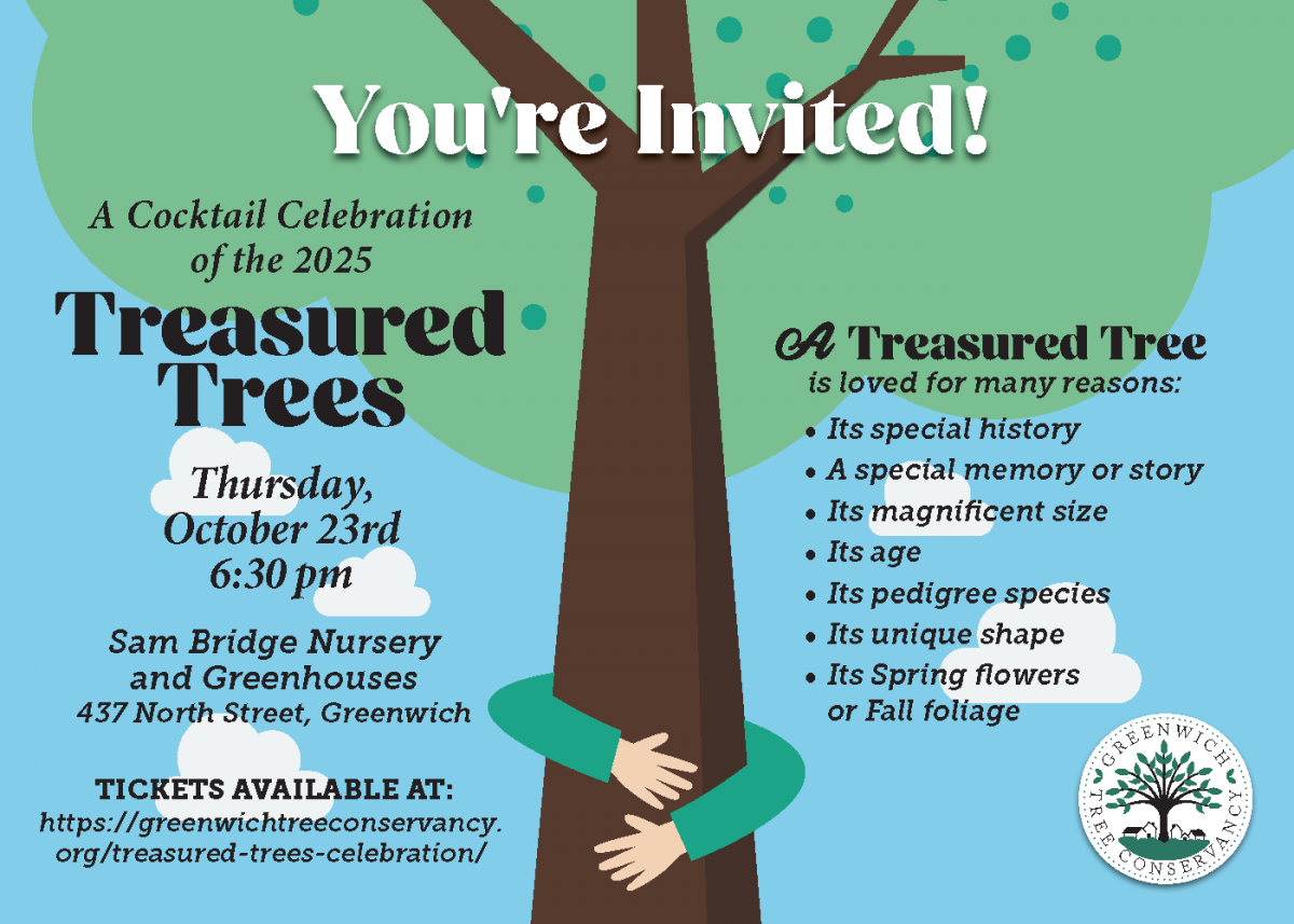 Treasured Trees Celebration - Greenwich Tree Conservancy